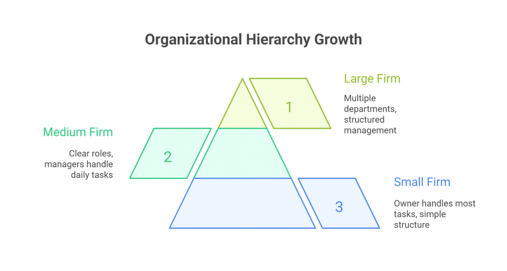 Accounting Firm Structure Guide: 7 Organizational Models That Work